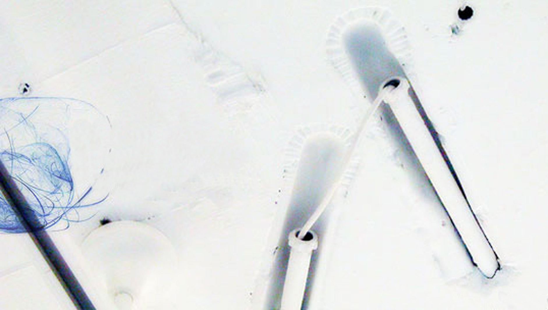 art space kimura ASK? | art space kimura ASK?／アートスペースキムラ アスクは中央区京橋にある現代 ...